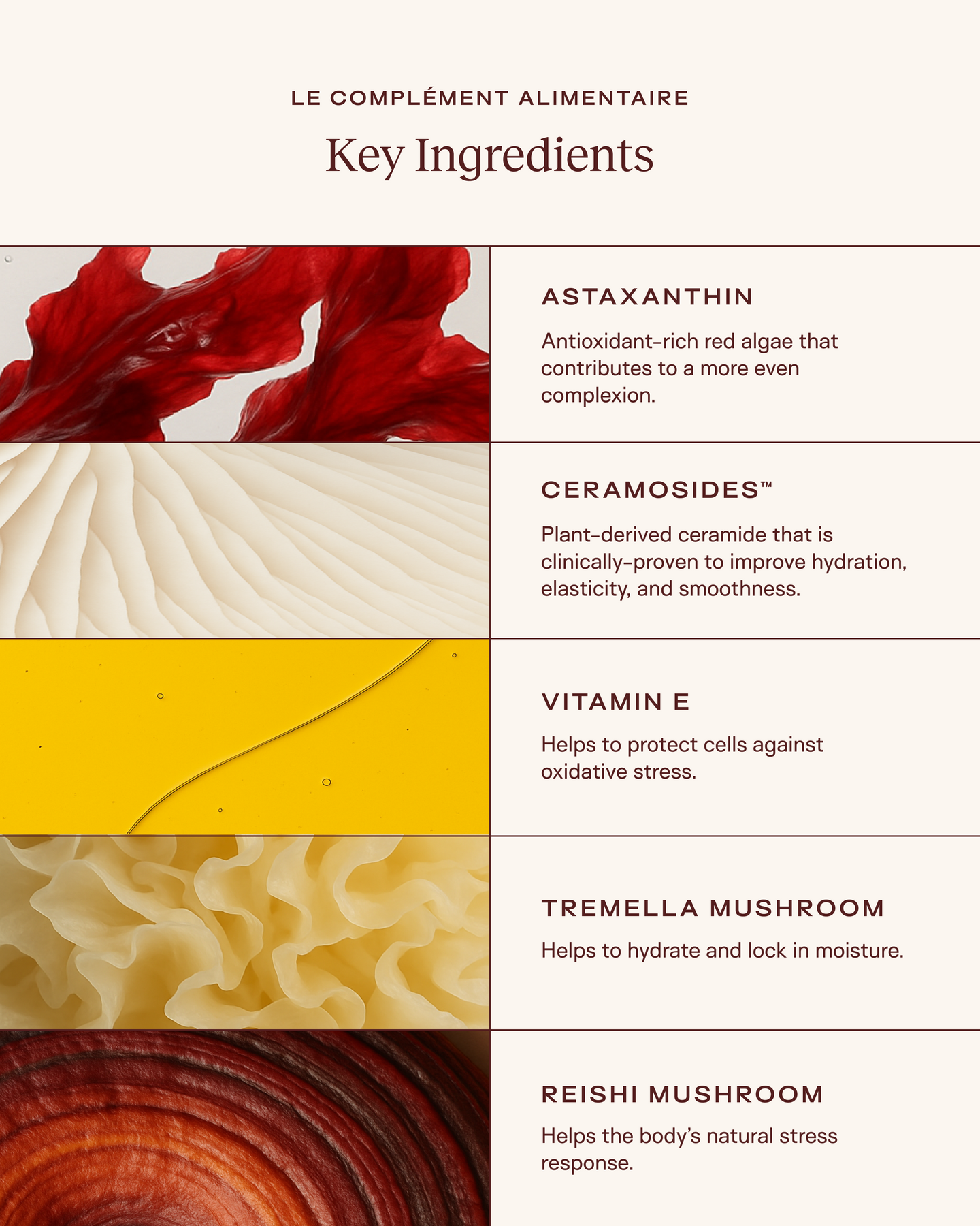 Le Shroom Stack™ Duo - Hydrating Skincare & Supplement Stack – Verdoie